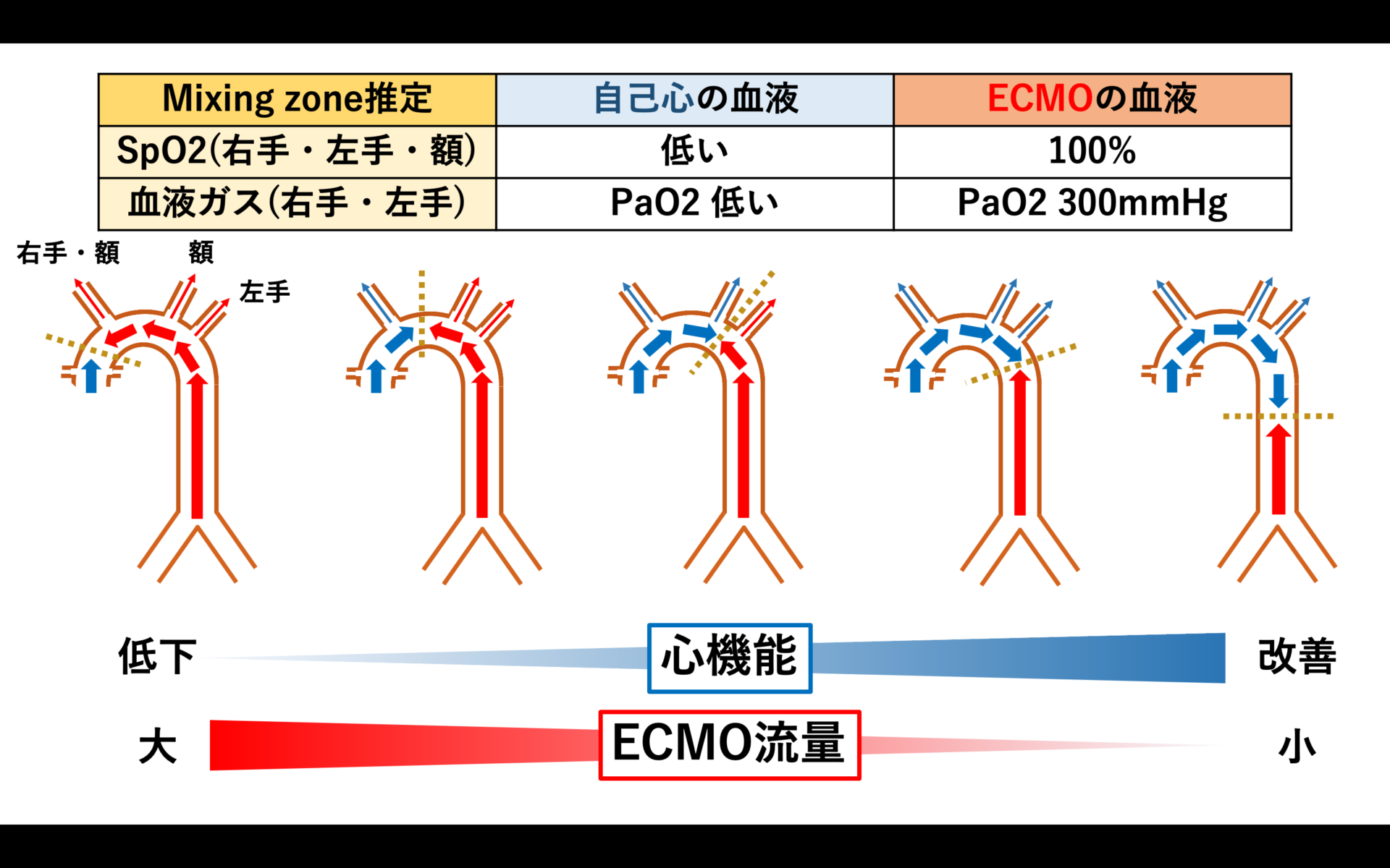 Mixing zone | もふごろ循環器